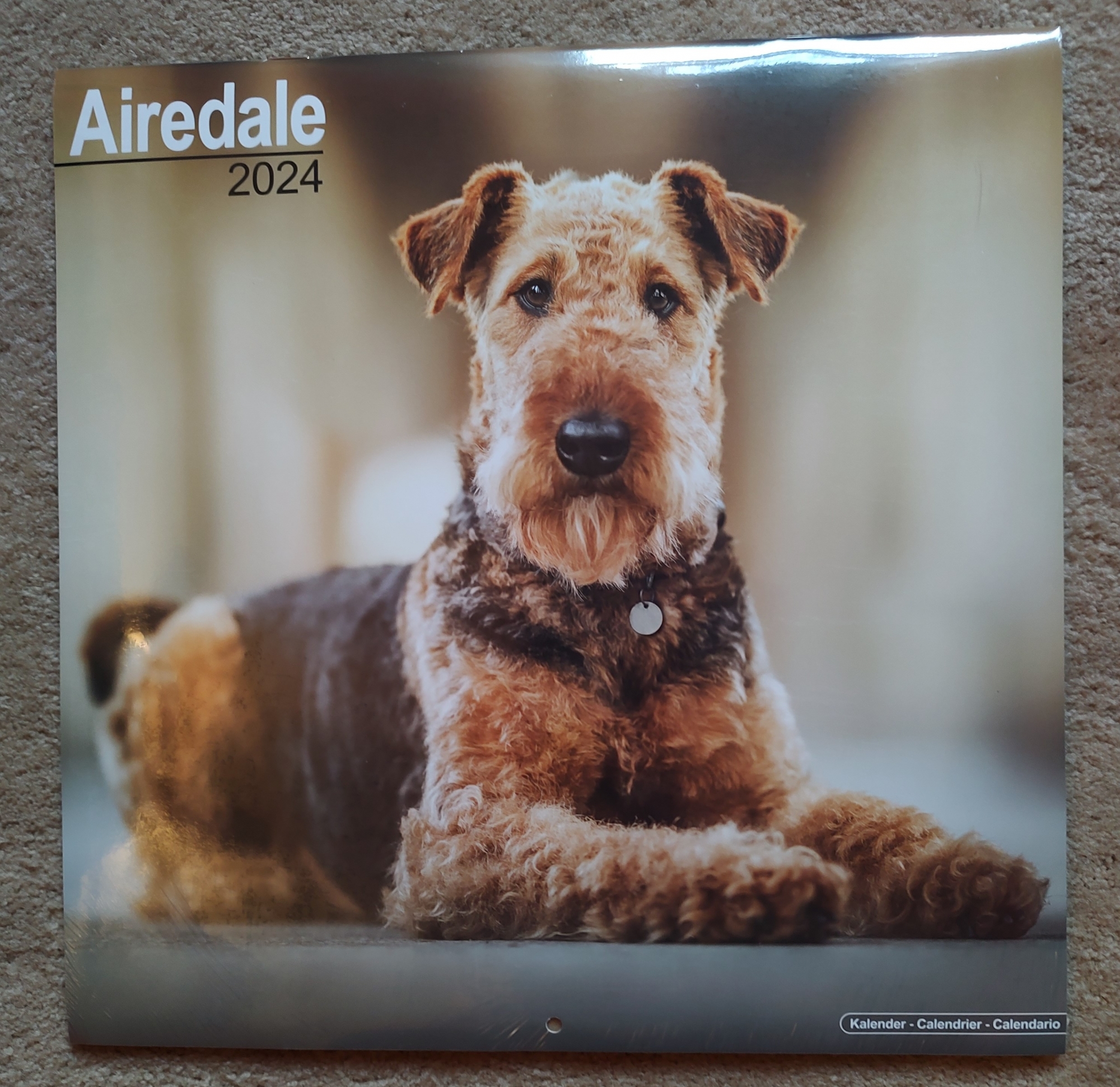 ATRA - Airedale Terrier Rescue & Adoption | Finding loving homes one ...